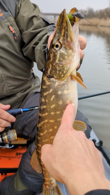 Весенняя щука #рыбалка #fishing #рыбалканареке #щукавесной  #сейм