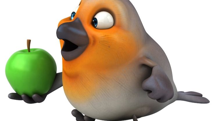 Я стал птицей в игре: Я Птица!