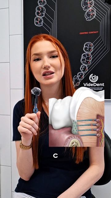 Оголение дентина: причины чувствительности зубов и методы контроля