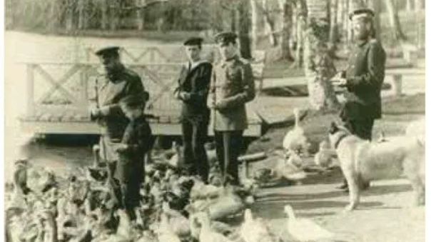 11 Александр III в Гатчине [get.gt]