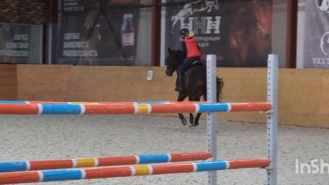 Довлатов Харт (Diamant de Semilly  Asti’s Amsterdam) (3)