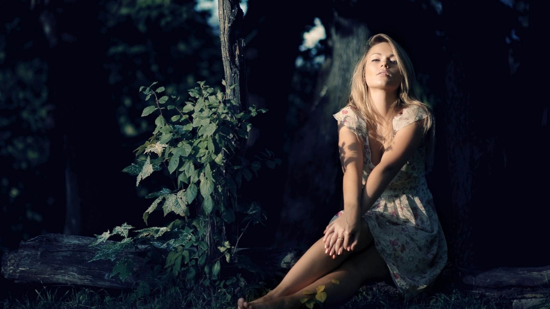 Trees of Eternity — Sinking Ships