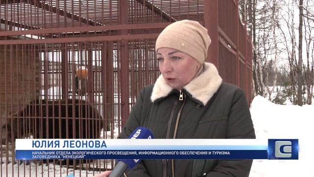 ГОТОВИМСЯ К ВСТРЕЧЕ С МИШКОЙ