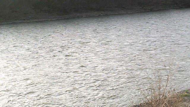 DSCF0006 Набережная возле городского парка Река Кубань г.Невинномысск апрель 2026