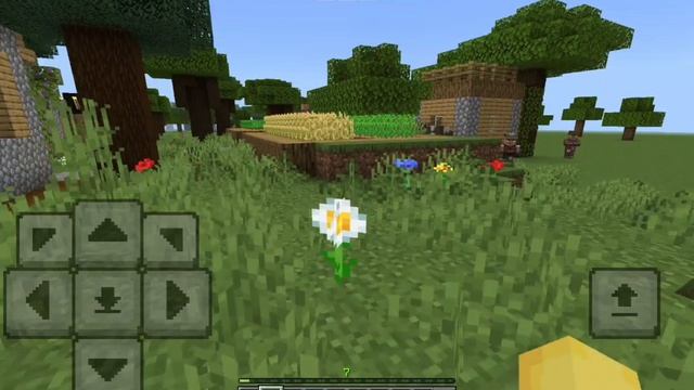 что с нашей деревней в minecraft?!