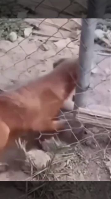 Даже он опоздал на работу