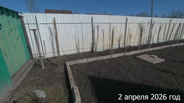 7 соток.  Уставшая, но счастливая. Хроника 2 апреля 2026 год