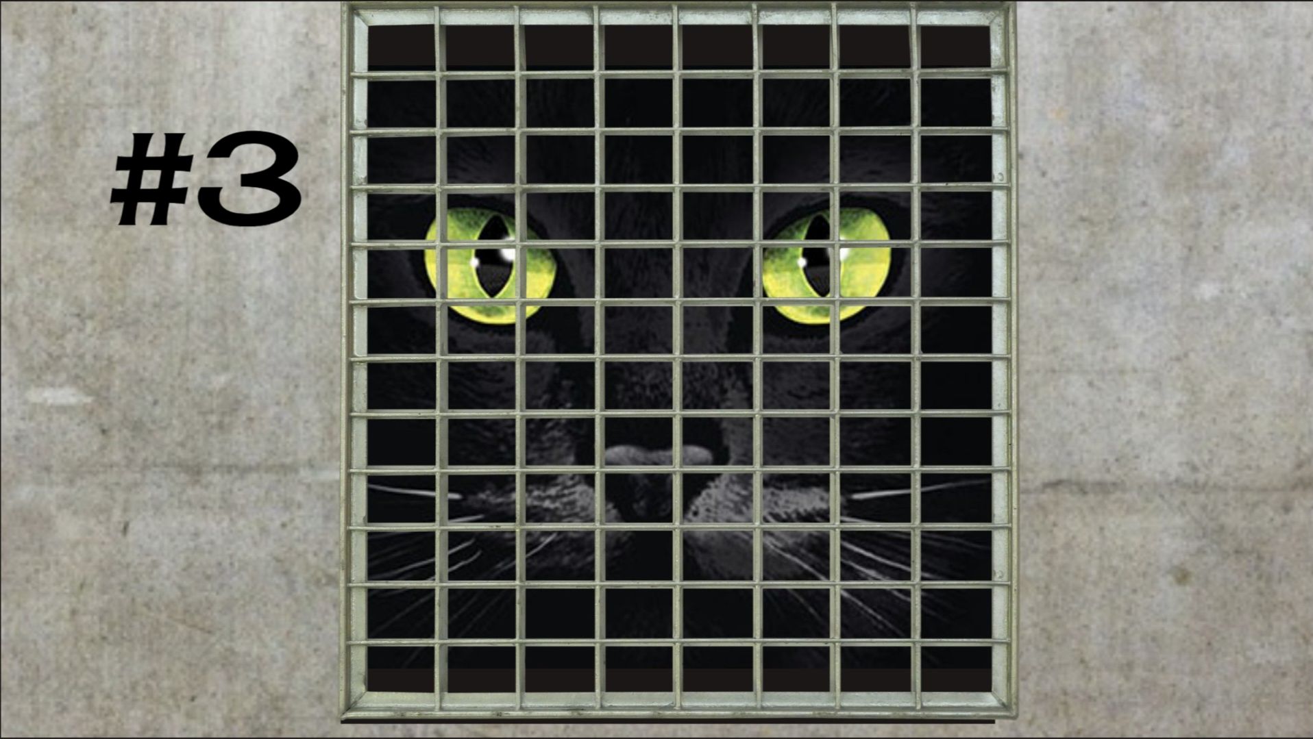 Бесконечное лето #211: Булки, кефир, рок-н-ролл. #3. Чистка картошки и кот в вентиляции