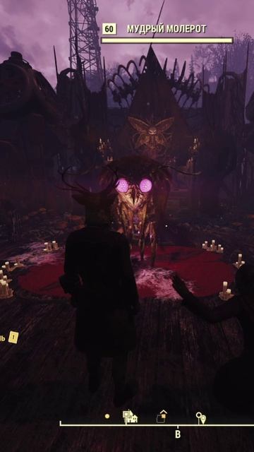 ПОЁМ МОЛЕРОТУ