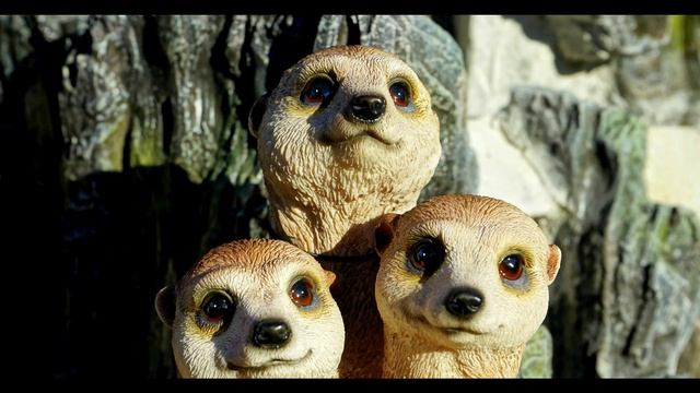 Утро понедельника