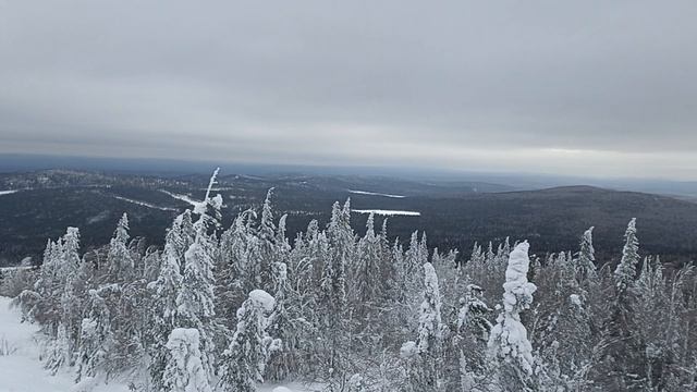 Урал: Панорама с горы Белая