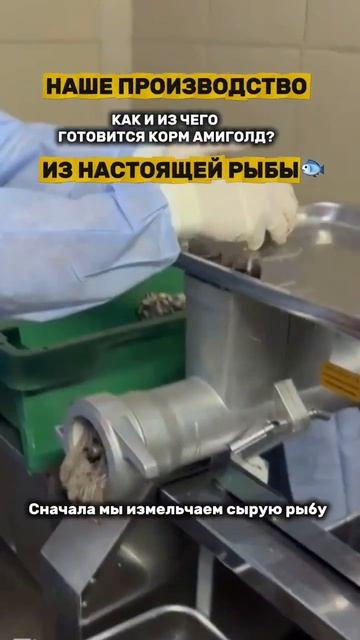 AmiGold Почему нас выбирают