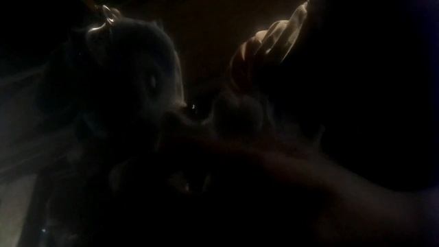 Супер Смэш Брос серия 222 Суд