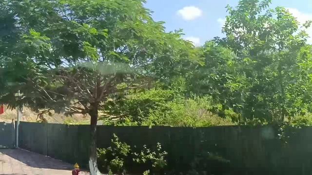 "Осторожно, Нячанг! Инструктаж гида: ЛОВУШКИ для туристов ⚠️"