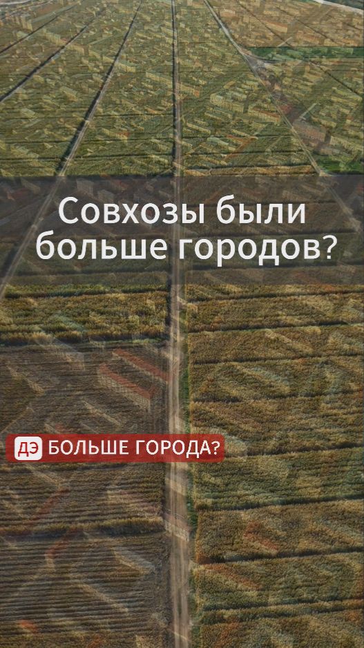 Совхозы были больше городов #колхозы #совхозы #историяссср