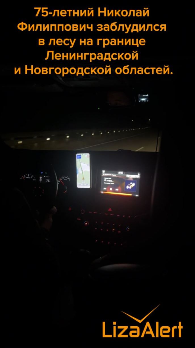 Поиск на границе Ленинградской и Новгородской областей.