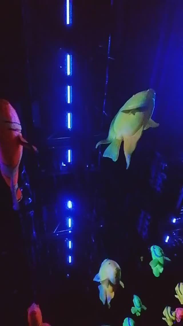 Шоу от режиссёра цирка Дю Солей. Романтик парк. Хайнань. Китай.