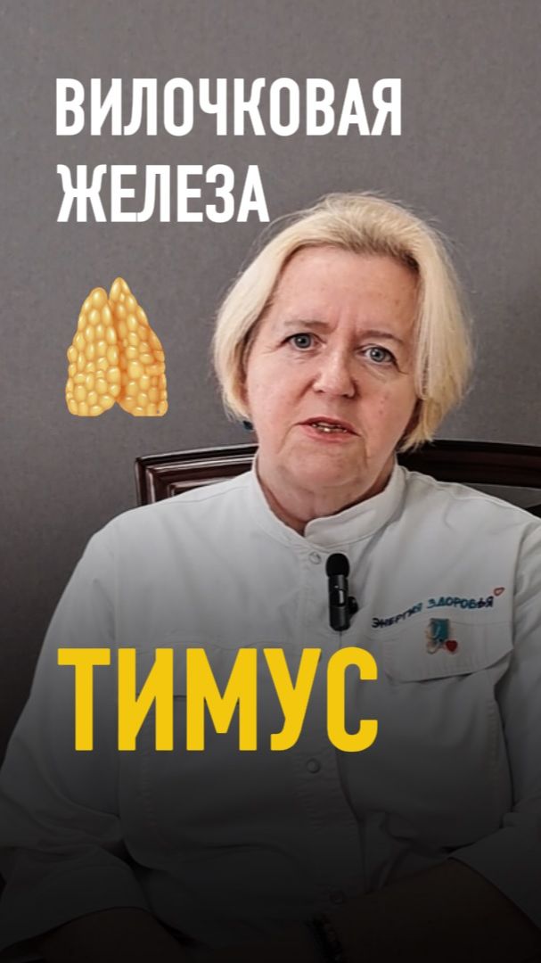 Вилочковая железа (ТИМУС). Об этом органе расскажет врач-терапевт, кардиолог, к.м.н. Голикова Р. В.