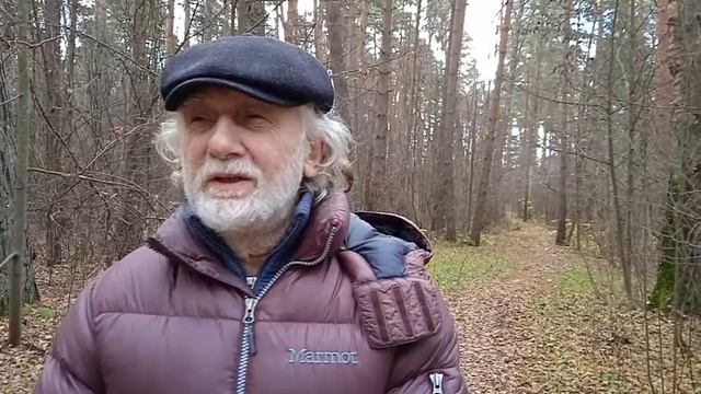 5 видов медитации, Лайя йога.