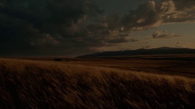 video_Анна Каренина, Эпизод 55