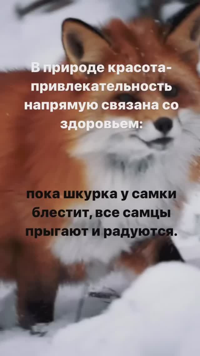 Природа защищает себя от накопления усталости