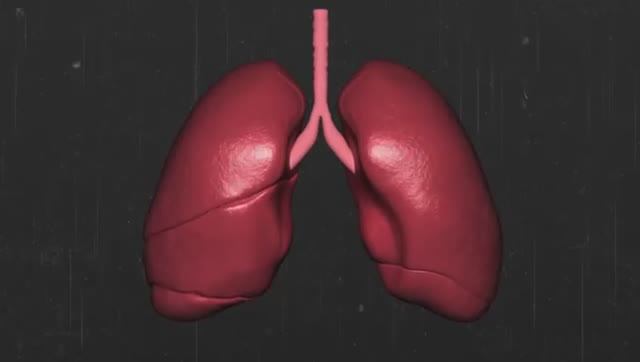 Система очистки легких сломана Восстановите её за 5 минут