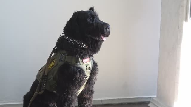 Съемка специальных роликов по правилам безопасности