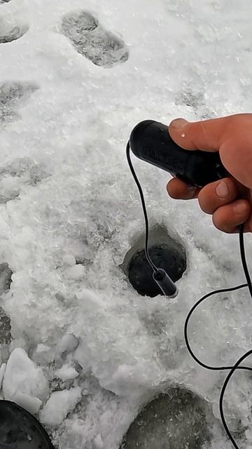 Поклёвка окунь