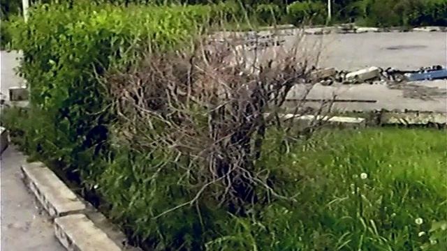 1999 год. Тюмень. Благоустройство площади 400-летия Тюмени