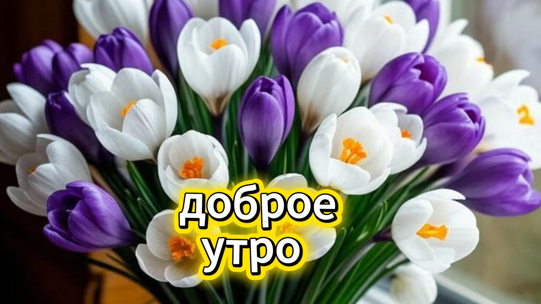 Красивые пожелания с добрым утром