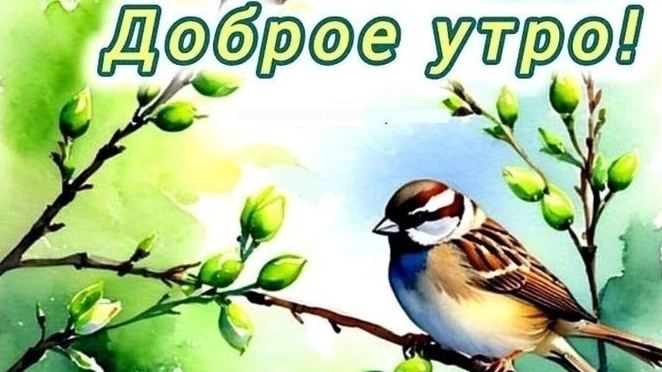 С добрым весенним утром апреля. Роскошная музыкальная открытка с песней.