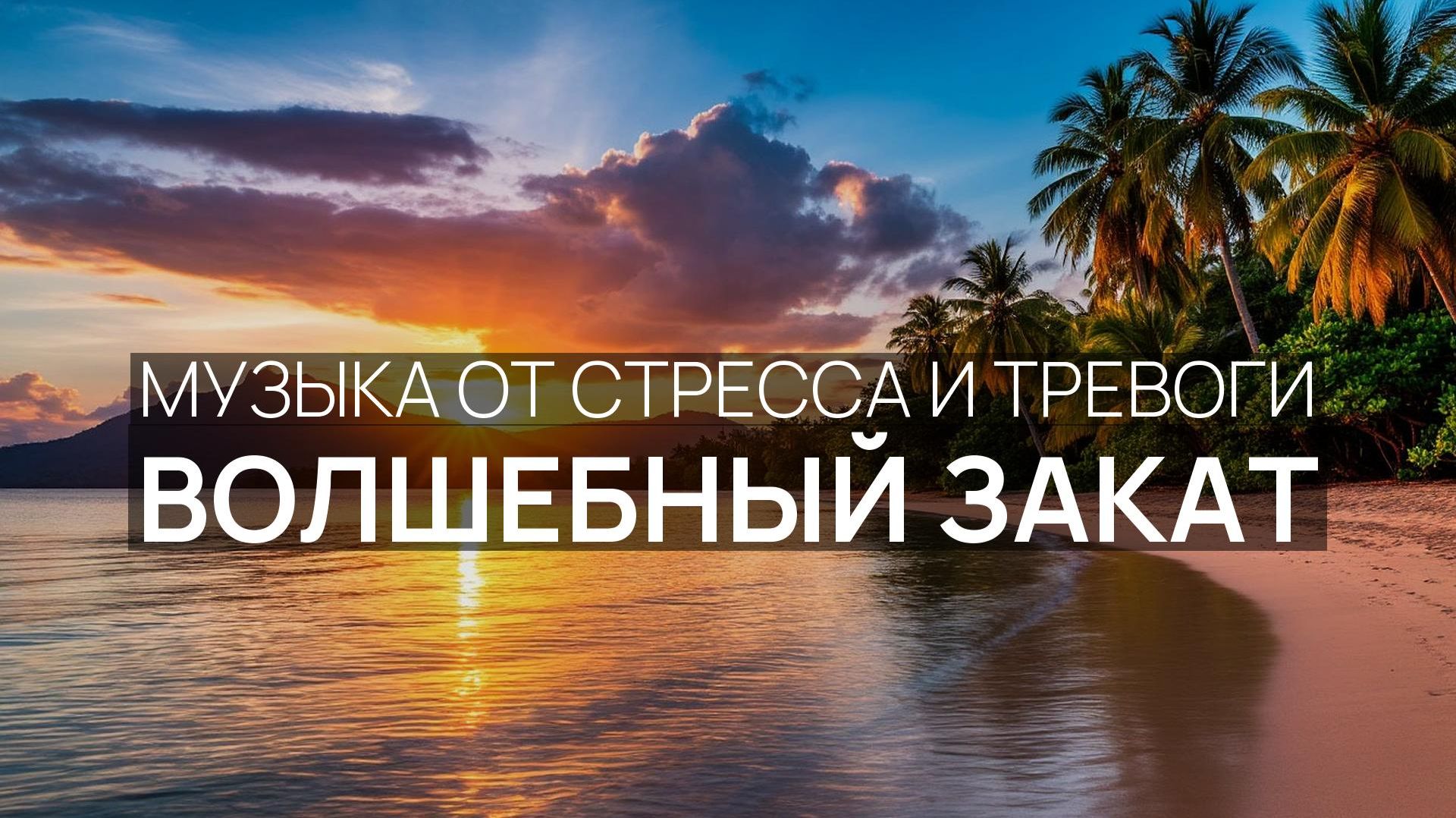 Сброс тревоги 🌿 Море в лунном свете 🌹 Волшебный закат 🧘