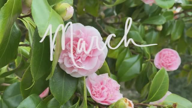 РОМАНТИЧНЫЙ ВОЛШЕБНЫЙ МАРТ В ЛОНДОНЕ. АРТ