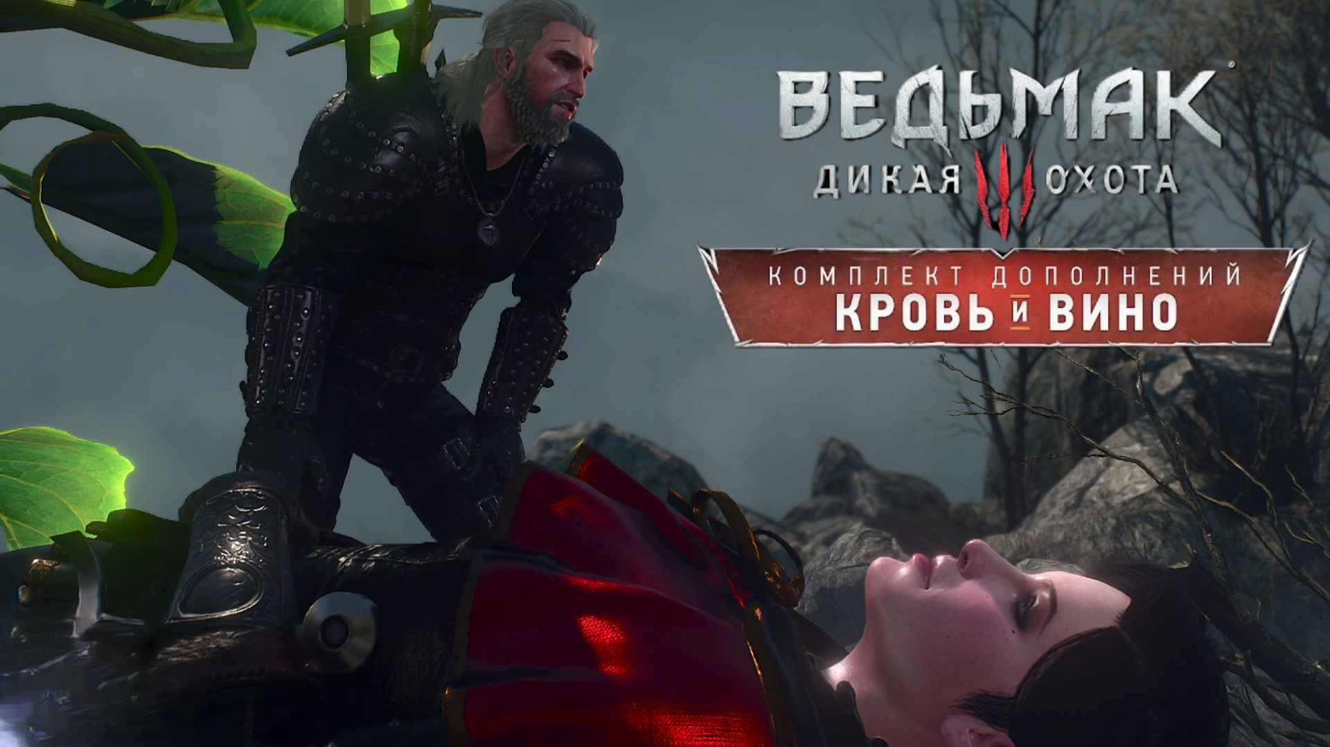 Конец сказки:)►Ведьмак 3: Кровь и вино #25