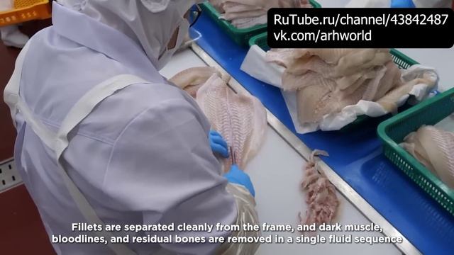 Как мировые TOP морепродукты превращаются в потрясающие блюда — премиум приготовление 🍣✨