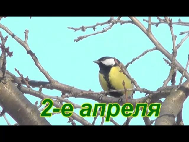 2 - апреля. Сергей Чекалин. April 2. Sergey Chekalin.