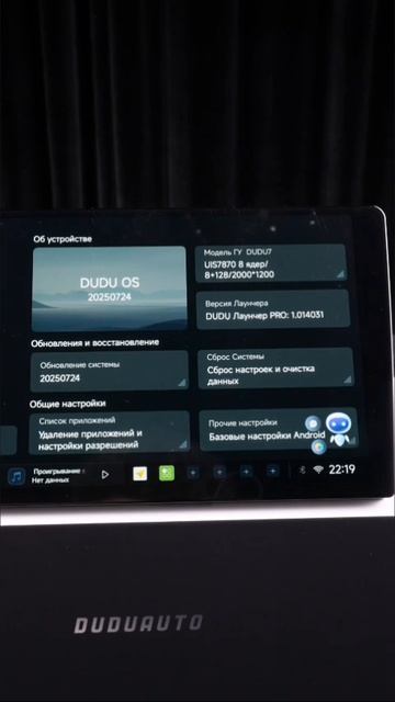 Skoda Octavia A5 серая + Dudu7