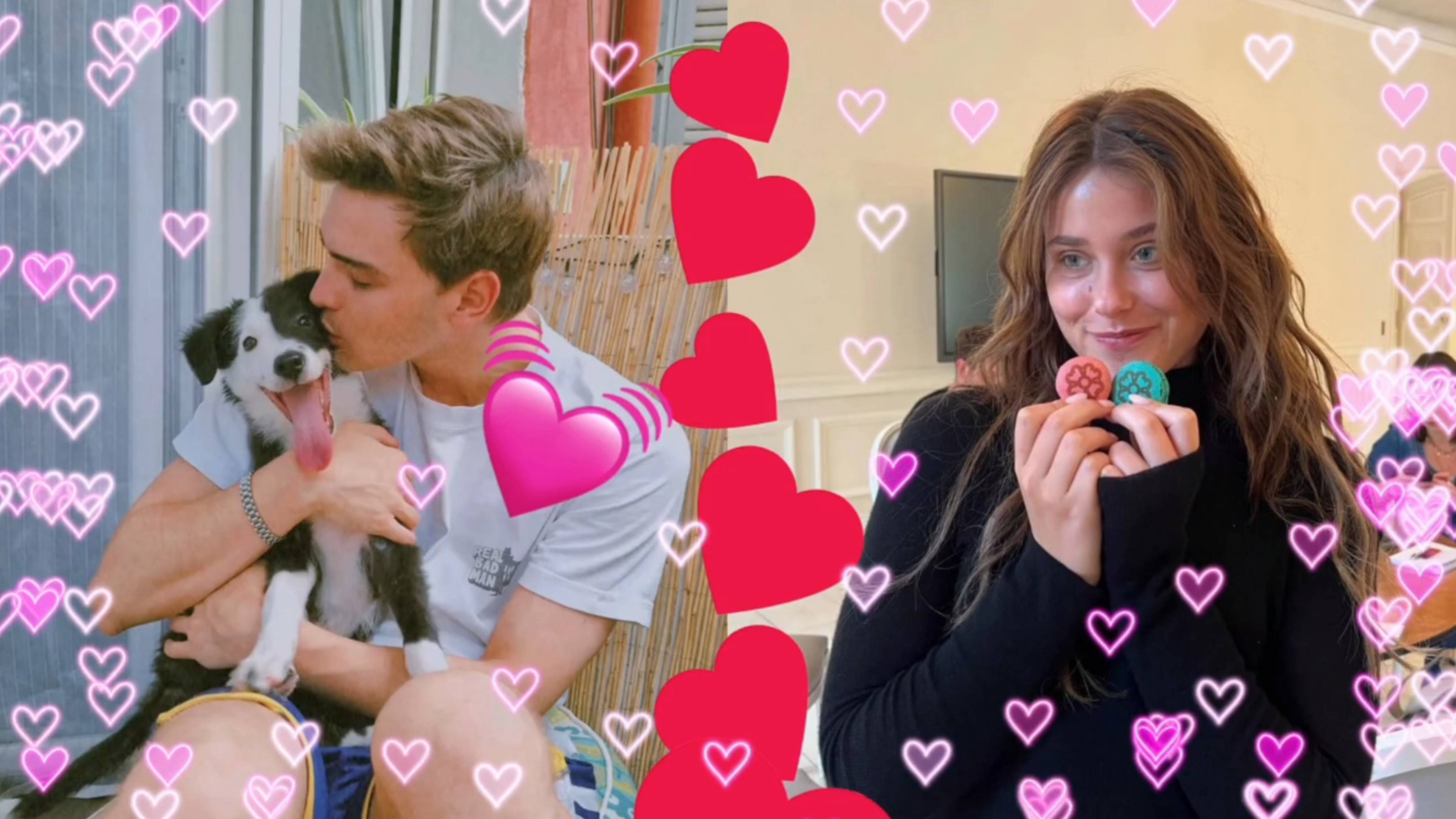 ❤️🔥 МЕЧТЫ НИКОЛЬ УОЛЛЕС И ПИТОМЦЫ ГАБРИЭЛЯ ГЕВАРА 🥰 2024