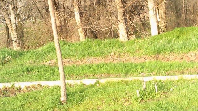 DSCF0005 Набережная возле городского парка Река Кубань г.Невинномысск апрель 2026