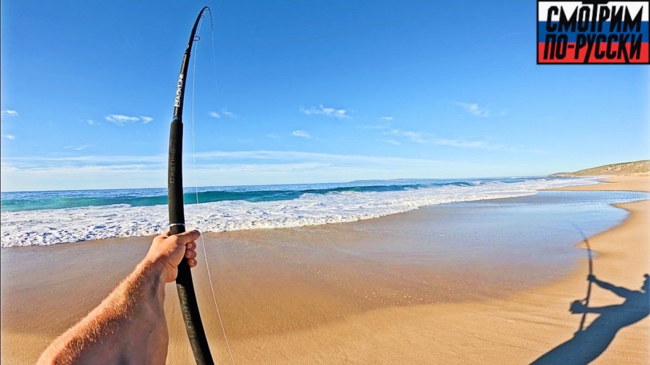 ОГРОМНАЯ РЫБА с берега! 🎣😱