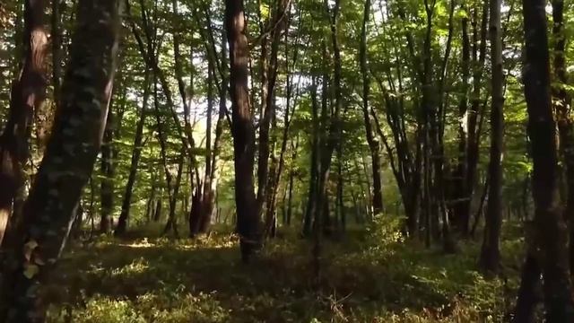 Имиджевый ролик по Дагестану