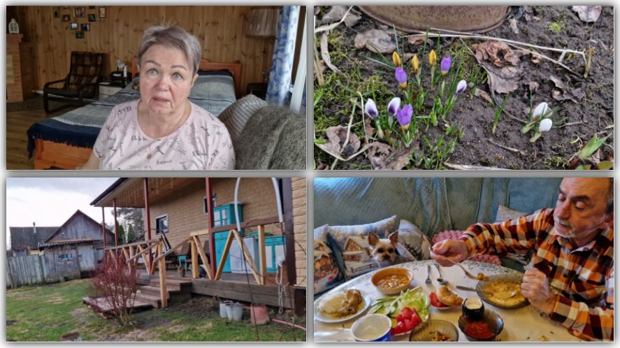 ОТВЕЧУ НА ВОПРОСЫ И ПРОГУЛЯЕМСЯ ПОСЛЕ ДОЖДИКА.