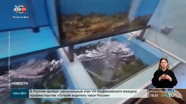 Полицейские изъяли нелегальную красную икру и раков