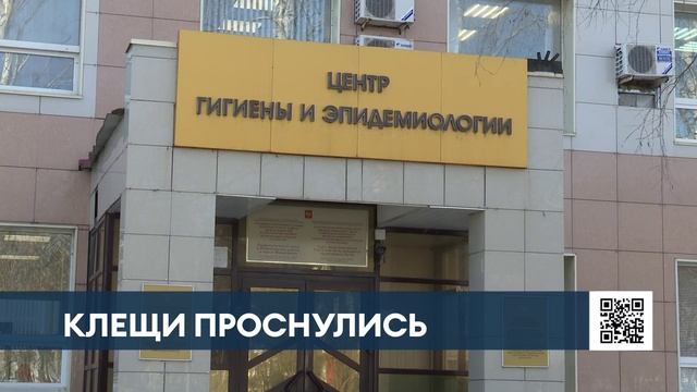 Как не стать жертвой клеща: советы главного санитарного врача Нижнекамска