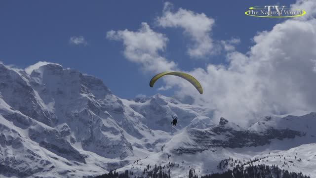 🪂 "Параплан"🏙️ Швейцария-Полетаем🧚♂️/Gleitschirmfliegen/ Gimmelwald-Mürren /Switzerland/