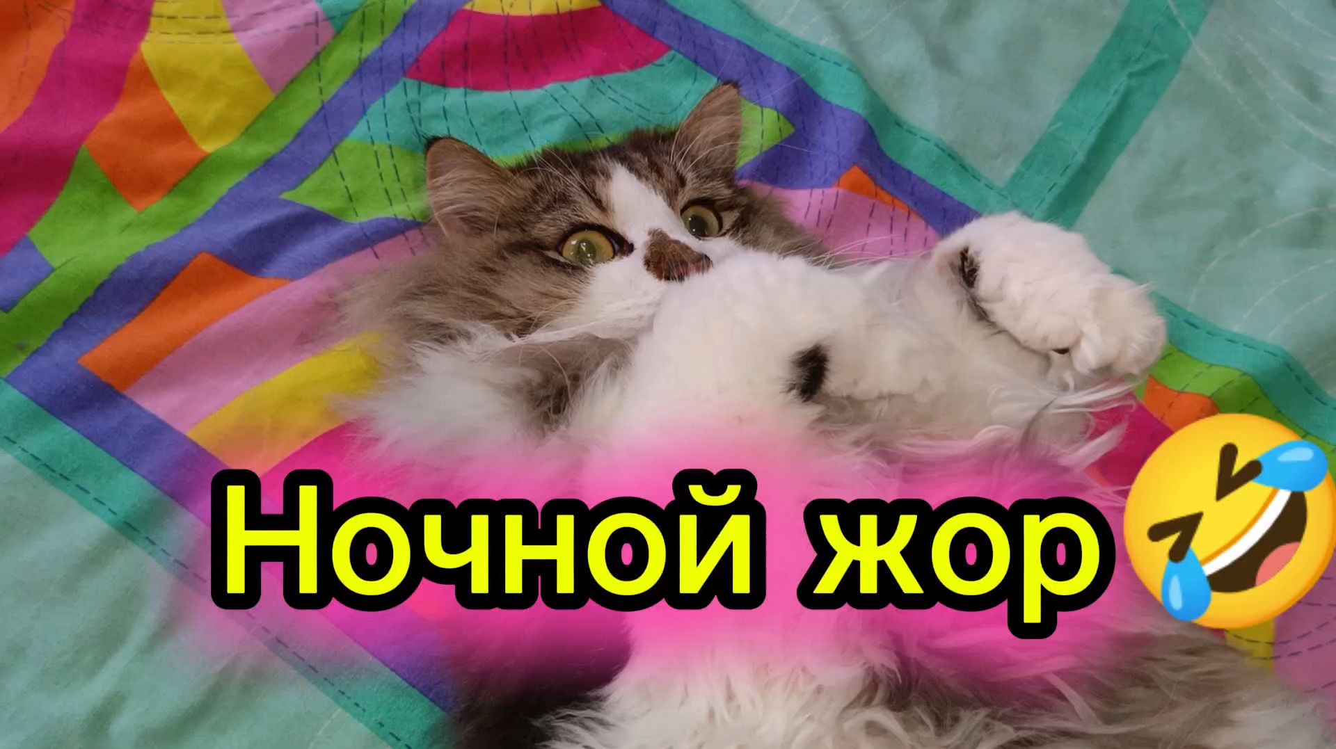 КОШКИ С ОЗВУЧКОЙ.