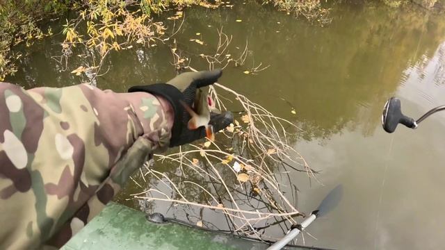 🔺️🎣НЕ ЗАЧЕТ🎣🔺️fishing#туризм#природа#ловля#рыбалка#щука#ловлящуки#ночевка#Чулым#река#спиннинг
