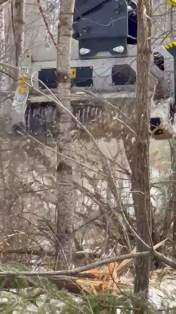 #Тимбермаш #FAE #Sany #SY245F