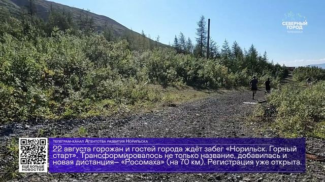 ДАЙДЖЕСТ «СЕВЕРНОГО ГОРОДА»,02.04.2026