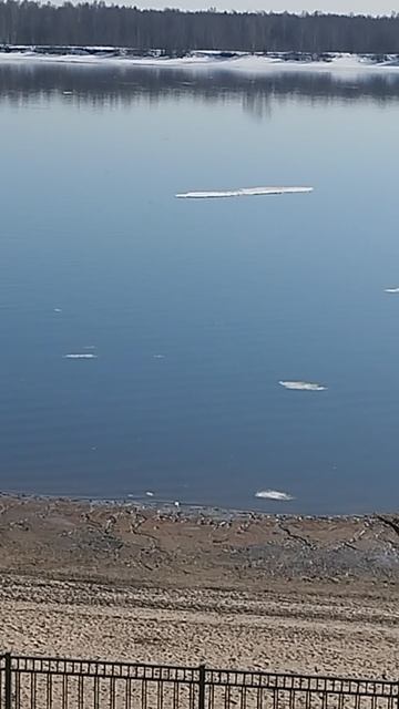 02-04-2026. кама